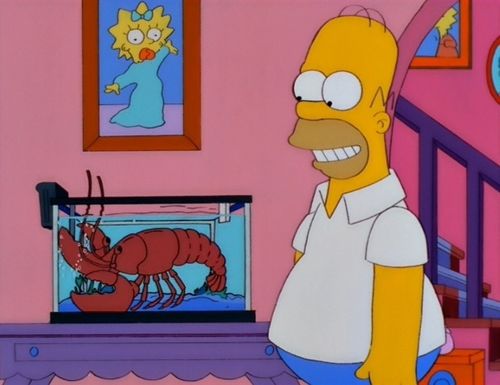 Crabs taste better than Lobsters | Sherdog Forums | UFC, MMA & Boxing ...