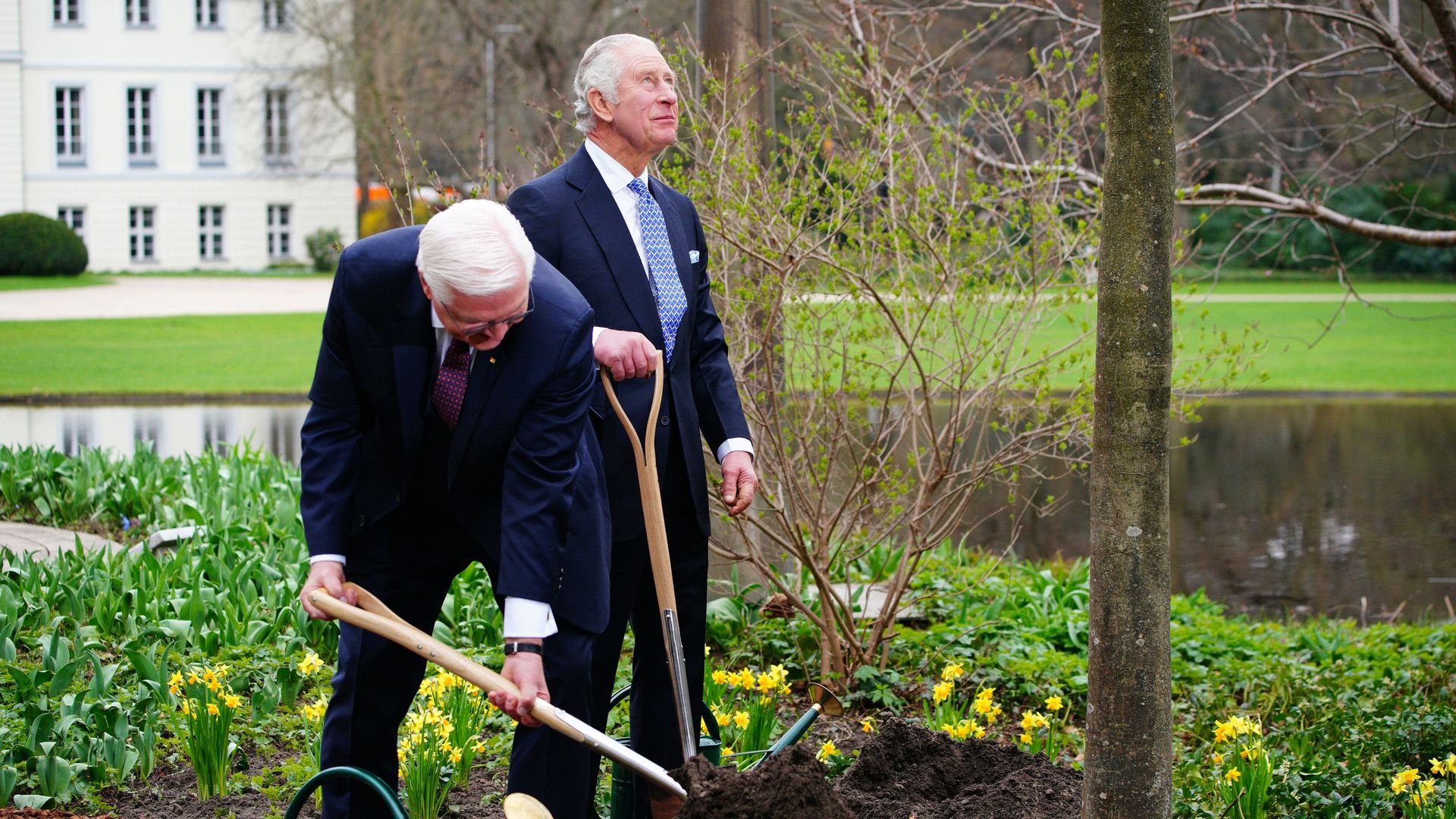 Zu Ehren der Queen: König Charles pflanzt Baum in Berlin