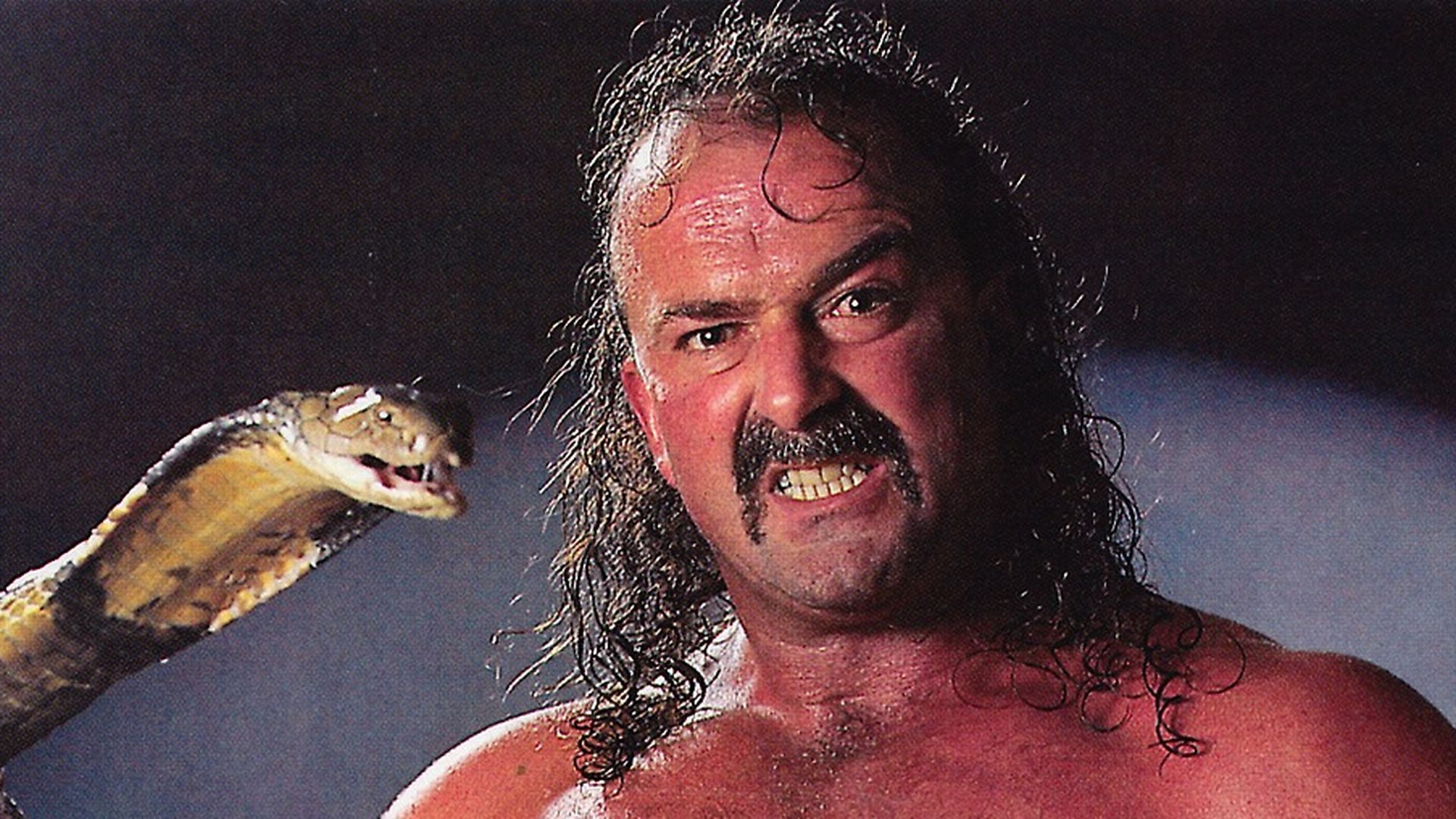 Jake The Snake Roberts Costume