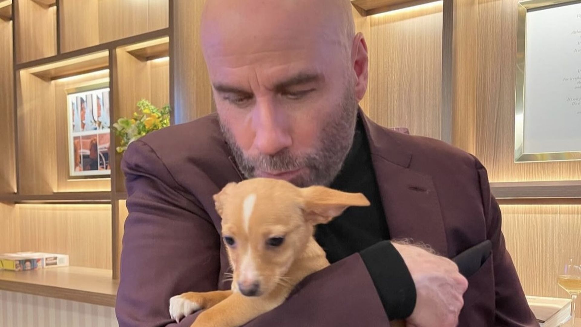 Deswegen ist John Travolta seinem Hund Peanut so dankbar!