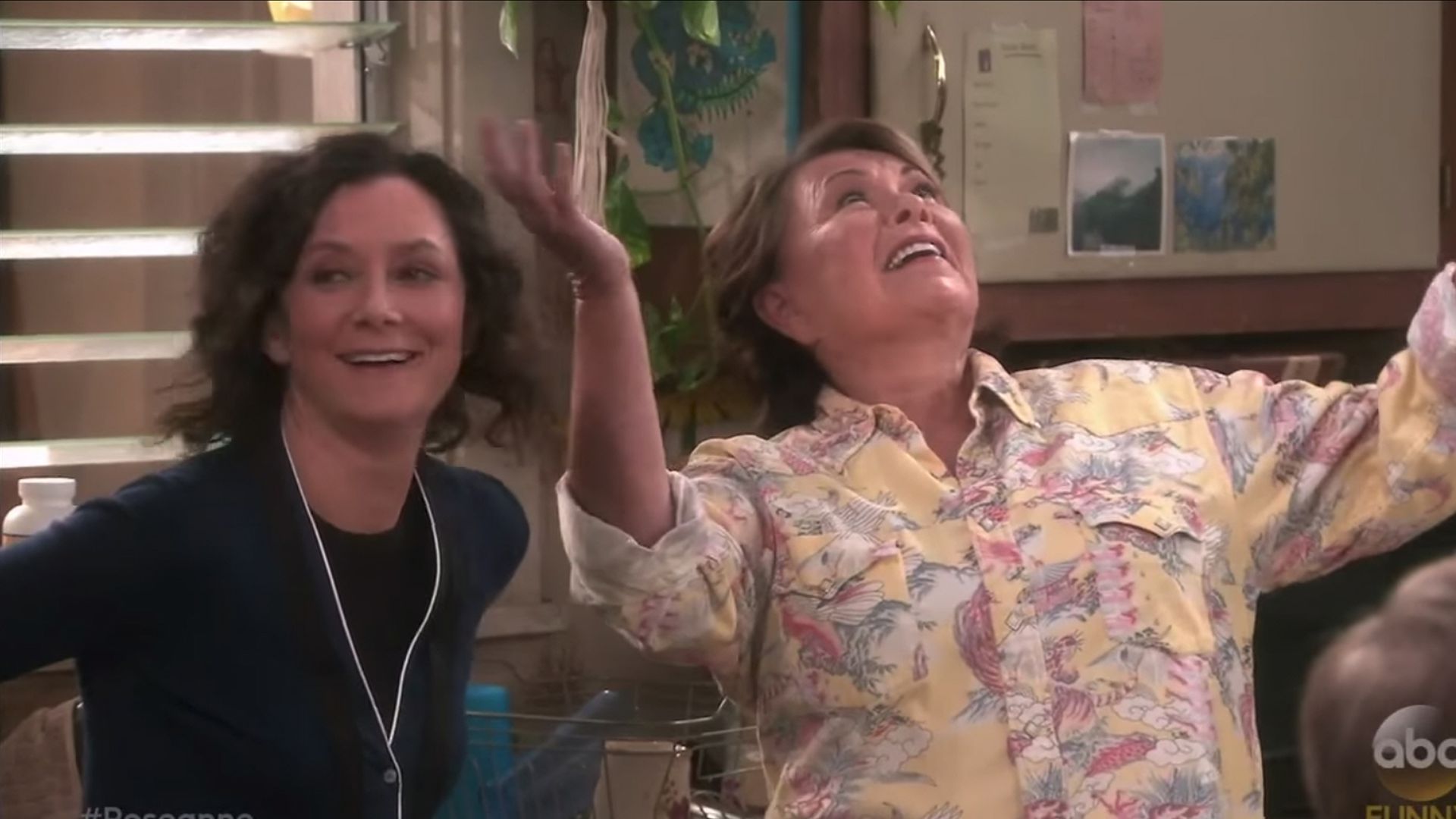 Leben ruiniert? Roseanne Barr beschuldigt Sara Gilbert! | Promiflash.de